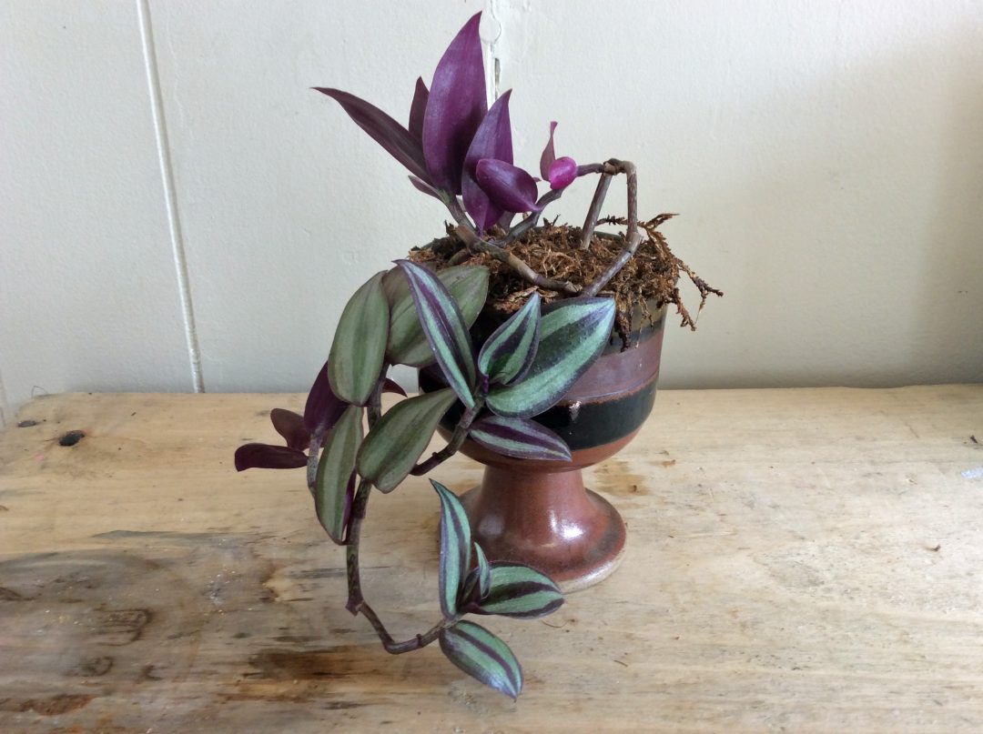 Goblet - Calgary Local Florist